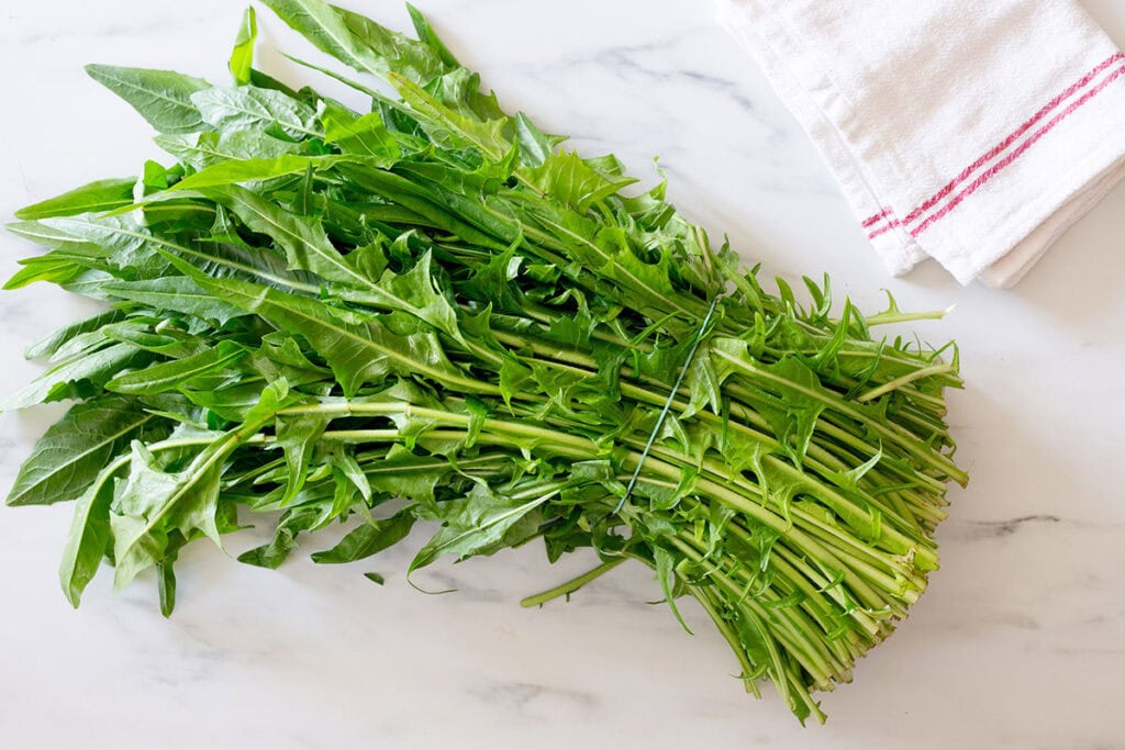 Cicoria Ripassata (sautéed chicory) - Italian Easy Recipes